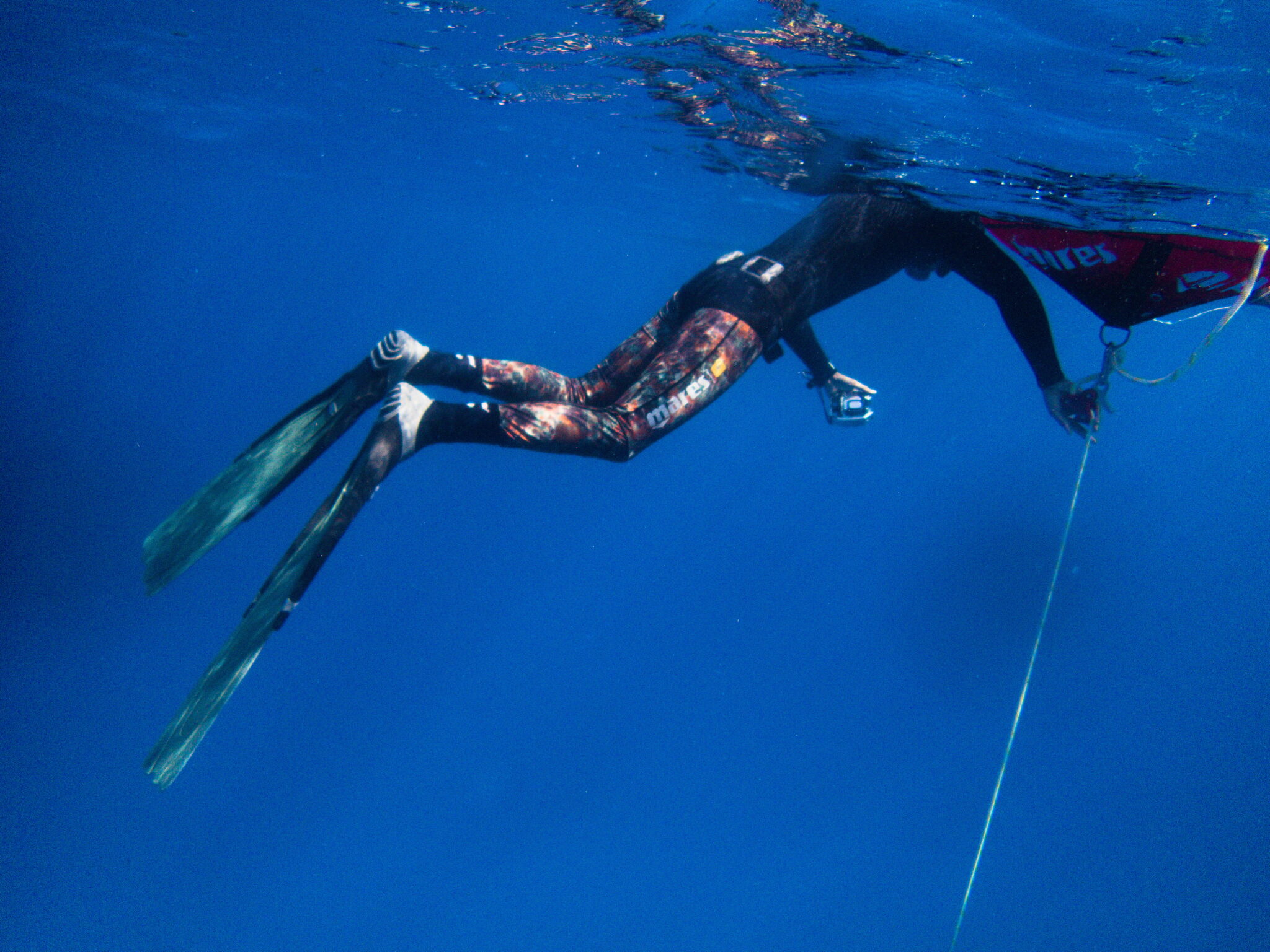 Things You Need To Know Before Doing A Freediving Course (That No One ...